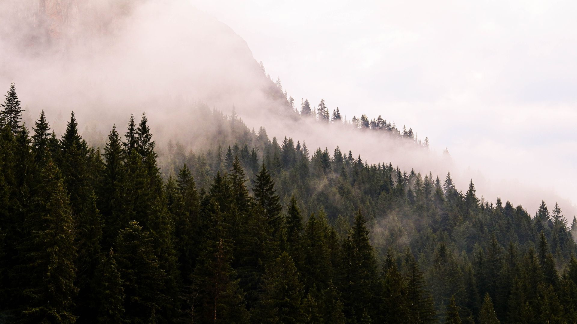 Tietoa meistä | Solveon